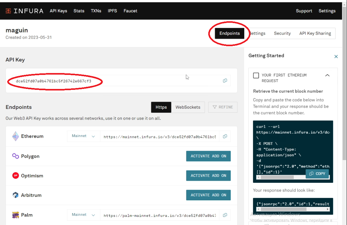 Infura API Key for Ethereum - Registration and Usage Guide